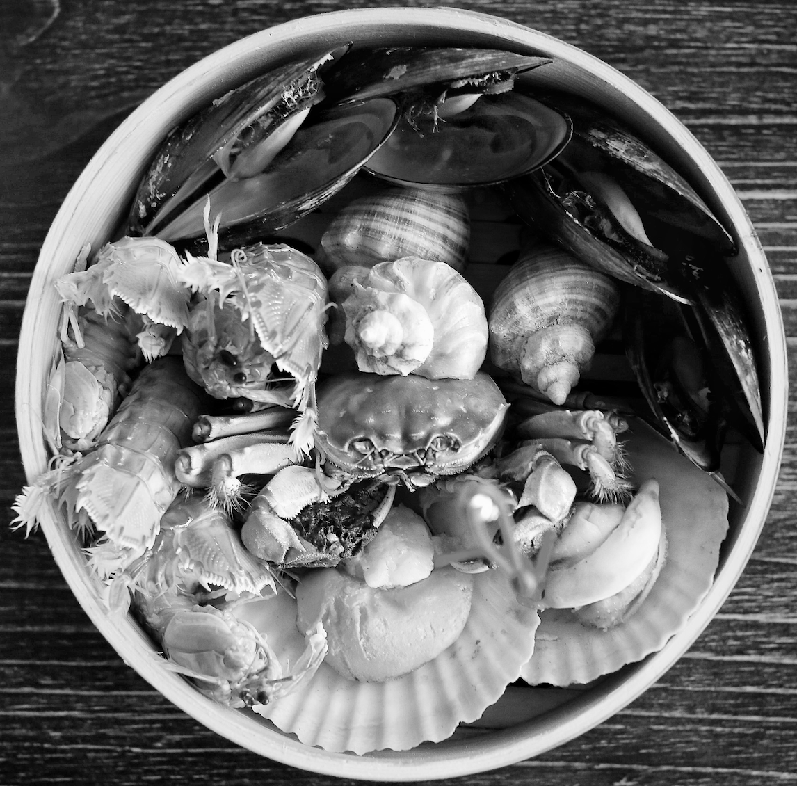 Shellfish & Crustaceans – NJORD by DCFS