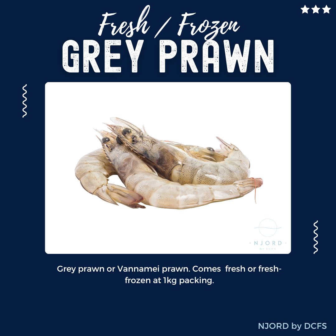Grey / Vannamei Prawn 1KG – NJORD by DCFS