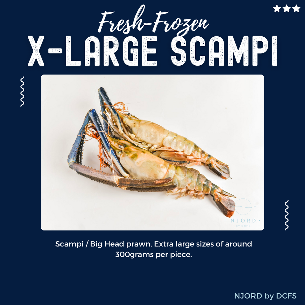 Scampi Super Big – NJORD by DCFS